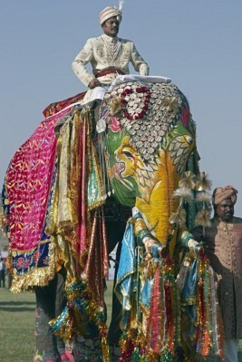 its kingsize: elephant festival at jaipur