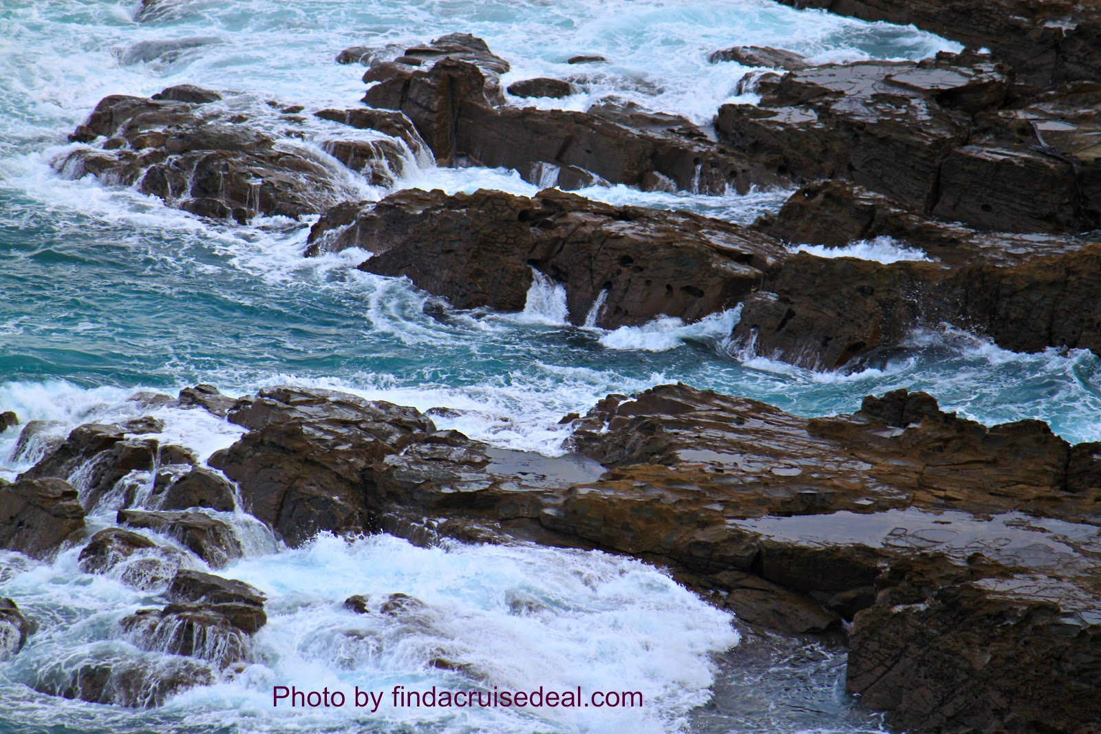 Carl's Cruise Capers and Travel Tips