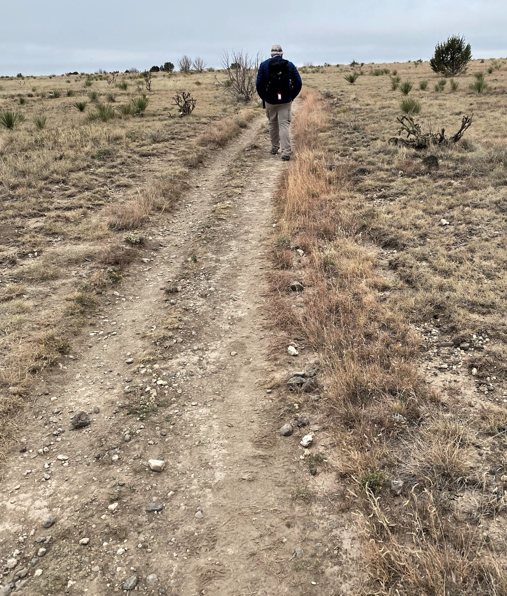 Souvenir Chronicles: THREE SUMMITS: #3, BLACK MESA IN OKLAHOMA, CAPULIN ...