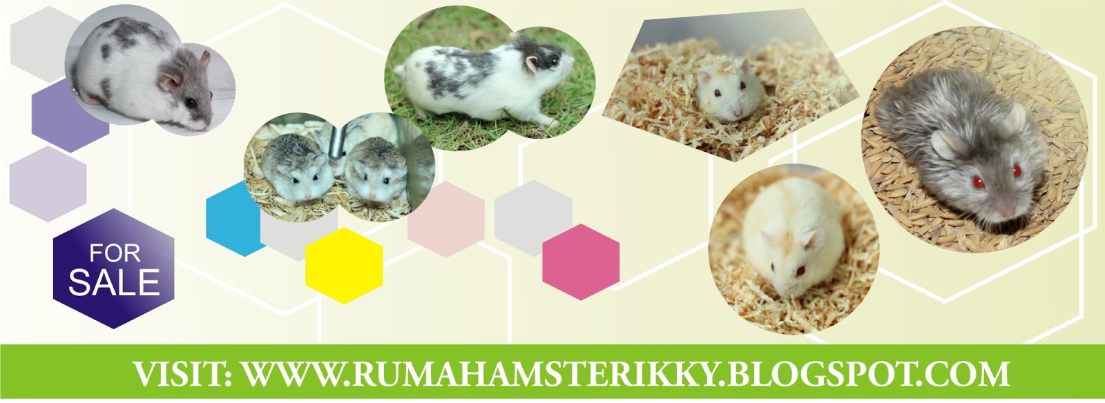 Dasar Genetika | Peternakan Hamster Sugarglider dan Tikus Putih