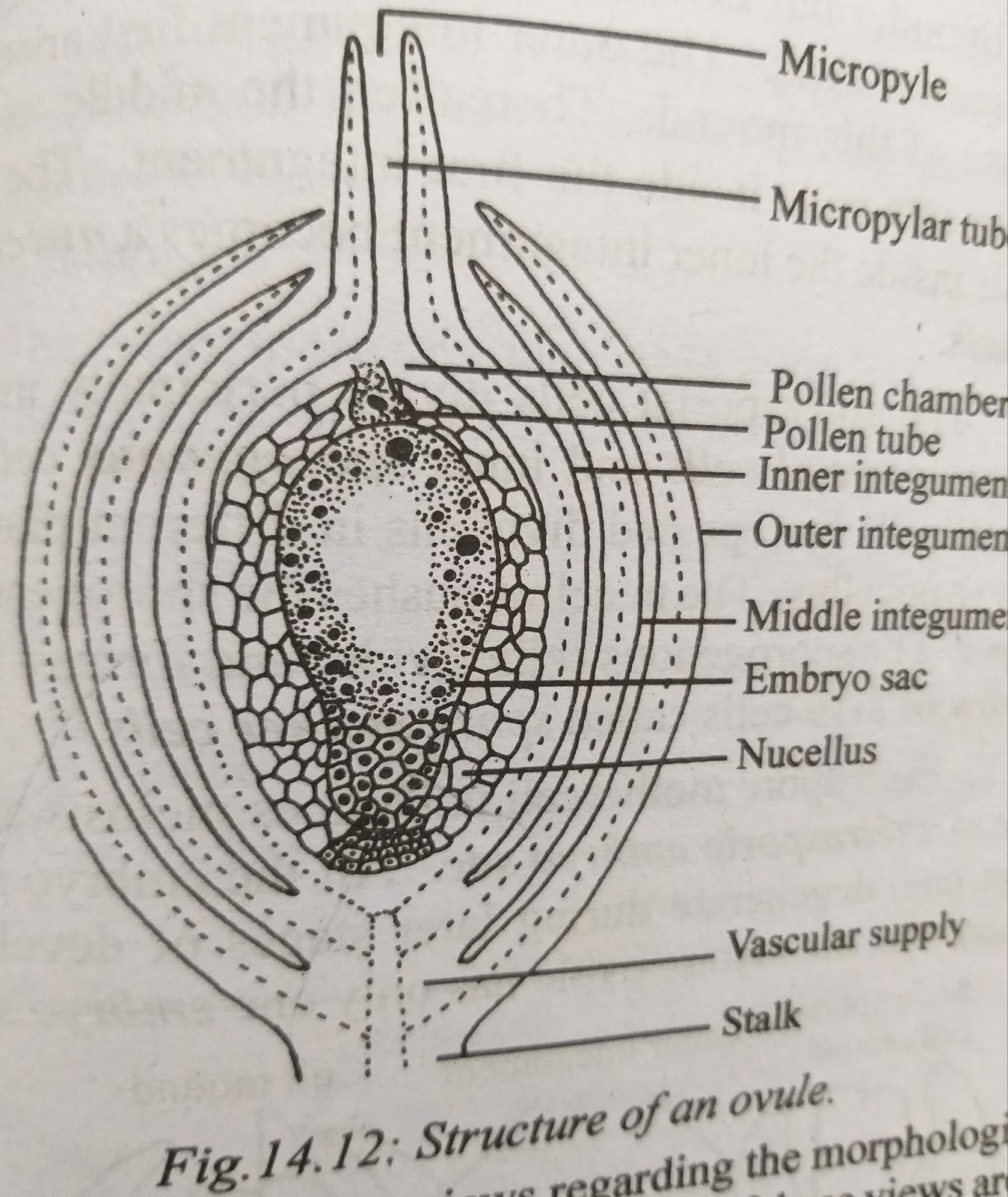 Department of Botany, Girraj Govt. College: Sem II Record