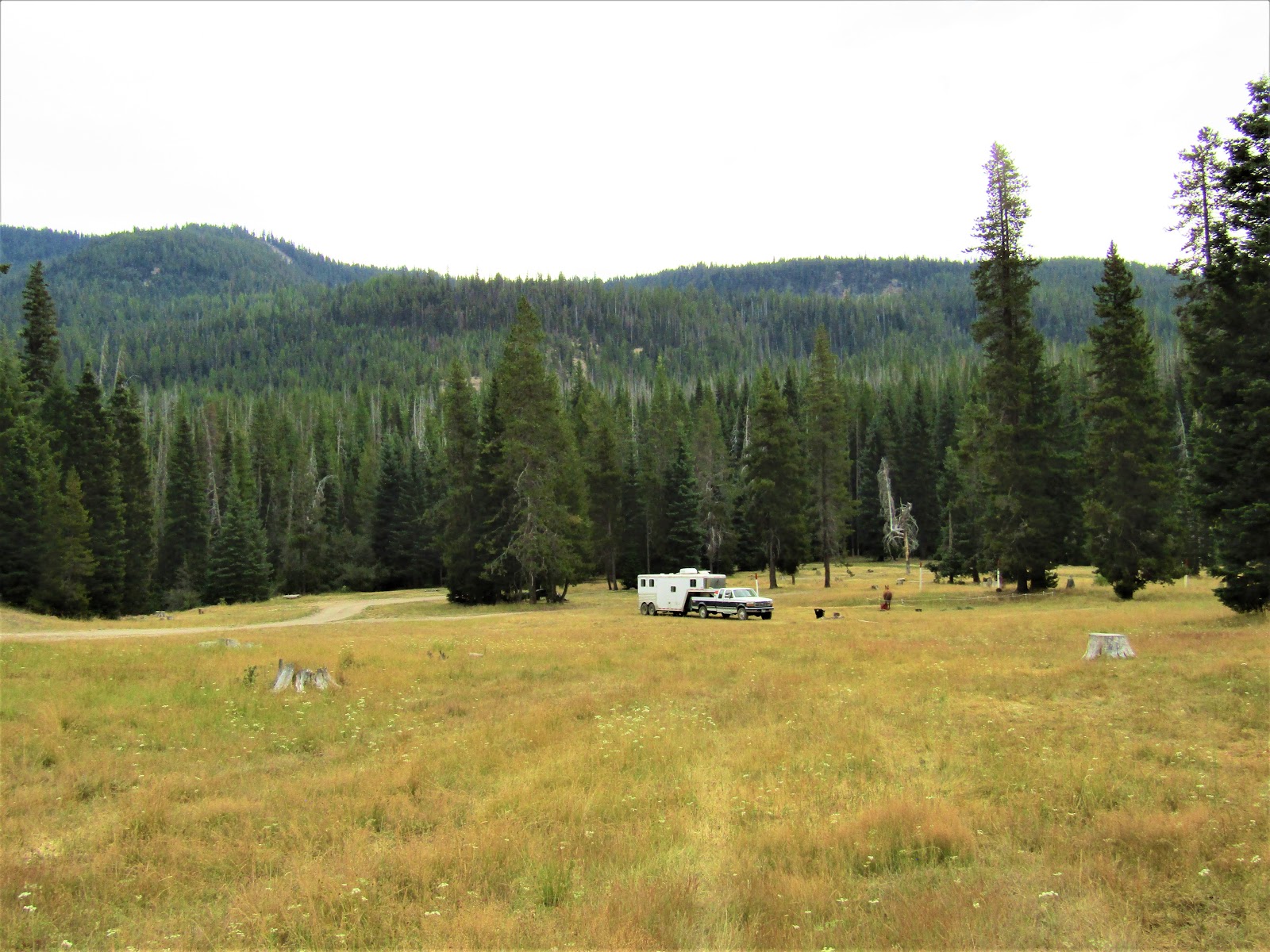 Holly's Horse Tales and Trails: Black Pine and Conrad Meadows Horse ...