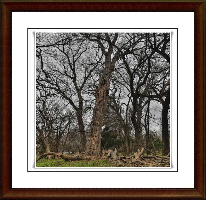 Historias de amor: Annabel Beam (Milagros del cielo)