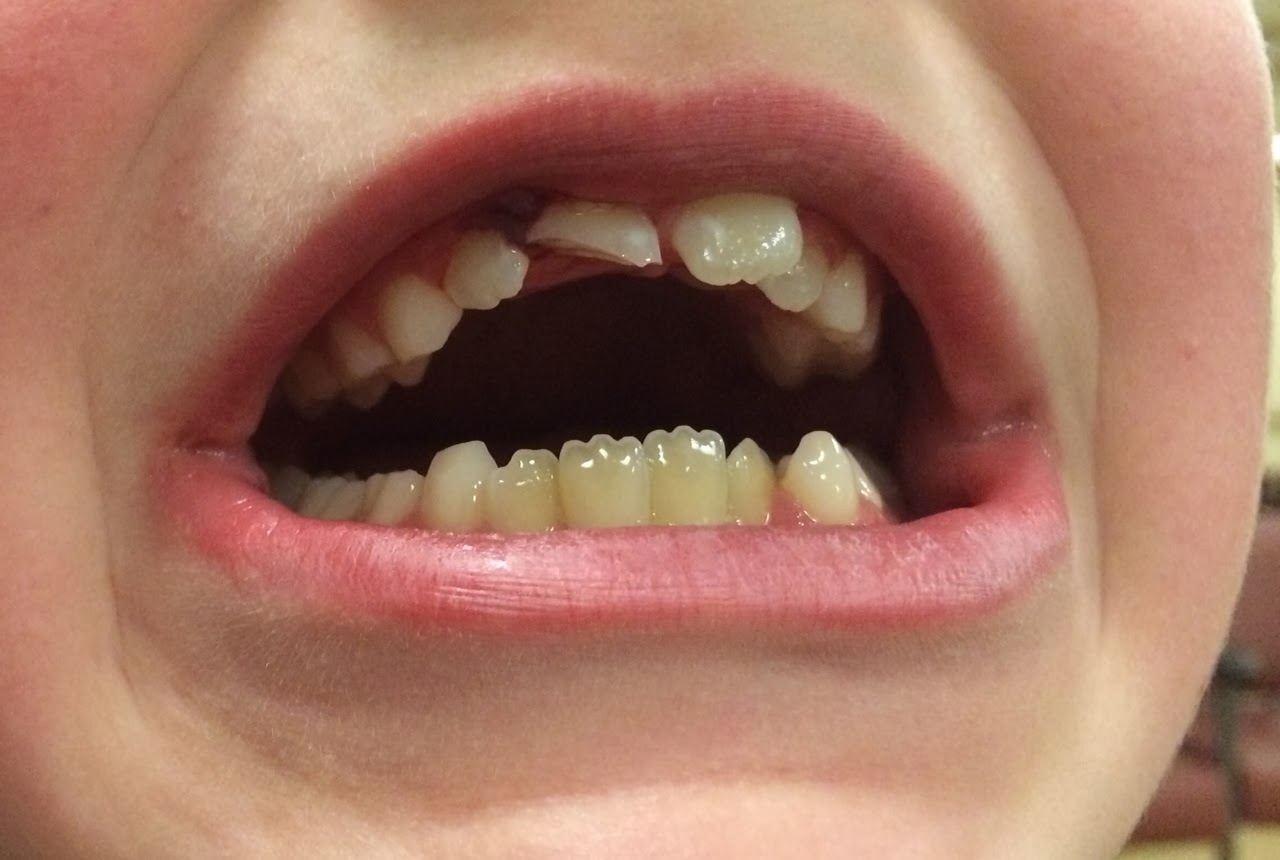 MSIMJ excursions: Winter Getaway