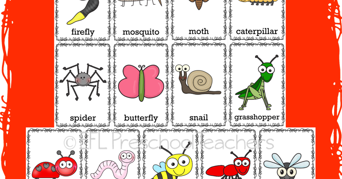 ESL/EFL Preschool Teachers: Butterfly and Bugs Unit for ESL Learners