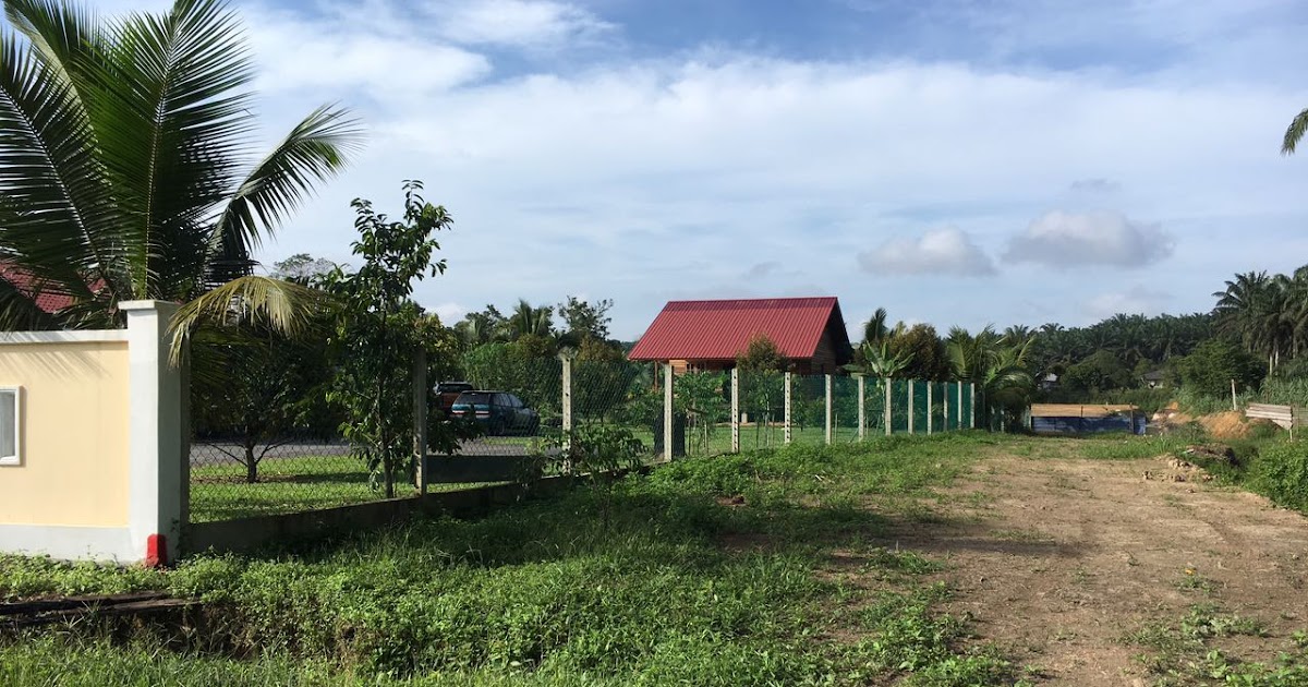 DUSUN TOK BAK: TANDA BATU SEMPADAN