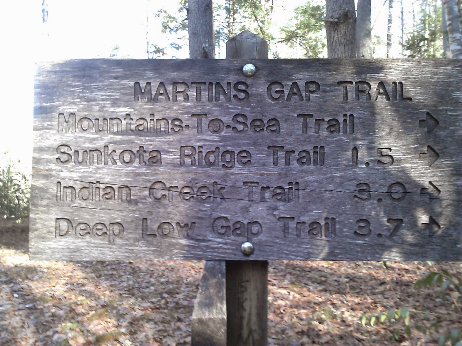 Hikes: Deep Creek - Martins Gap - Sunkota Ridge - Thomas Divide