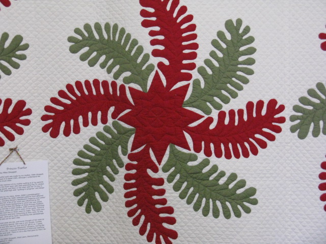 Quilting Blog - Cactus Needle Quilts, Fabric and More: Princess Feather ...