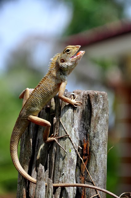 Appreciate YOURSELF first!: MENGKARUNG