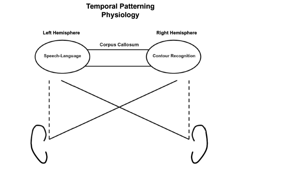 Test Of Temporal Processing on CAPD