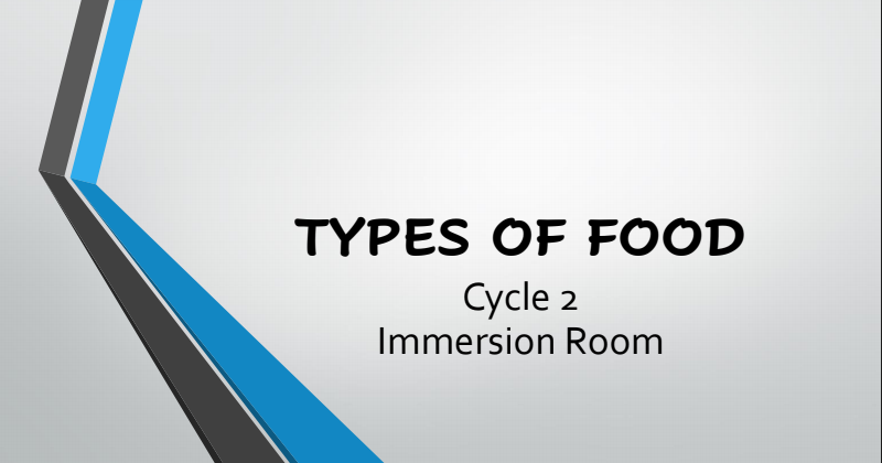 Cycle 2. Immersion Room