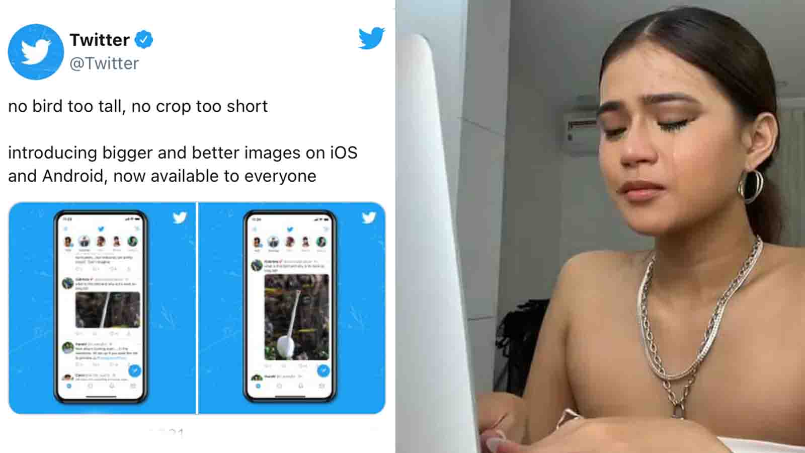 RIP Twitter crop and all the “open for a surprise” memes