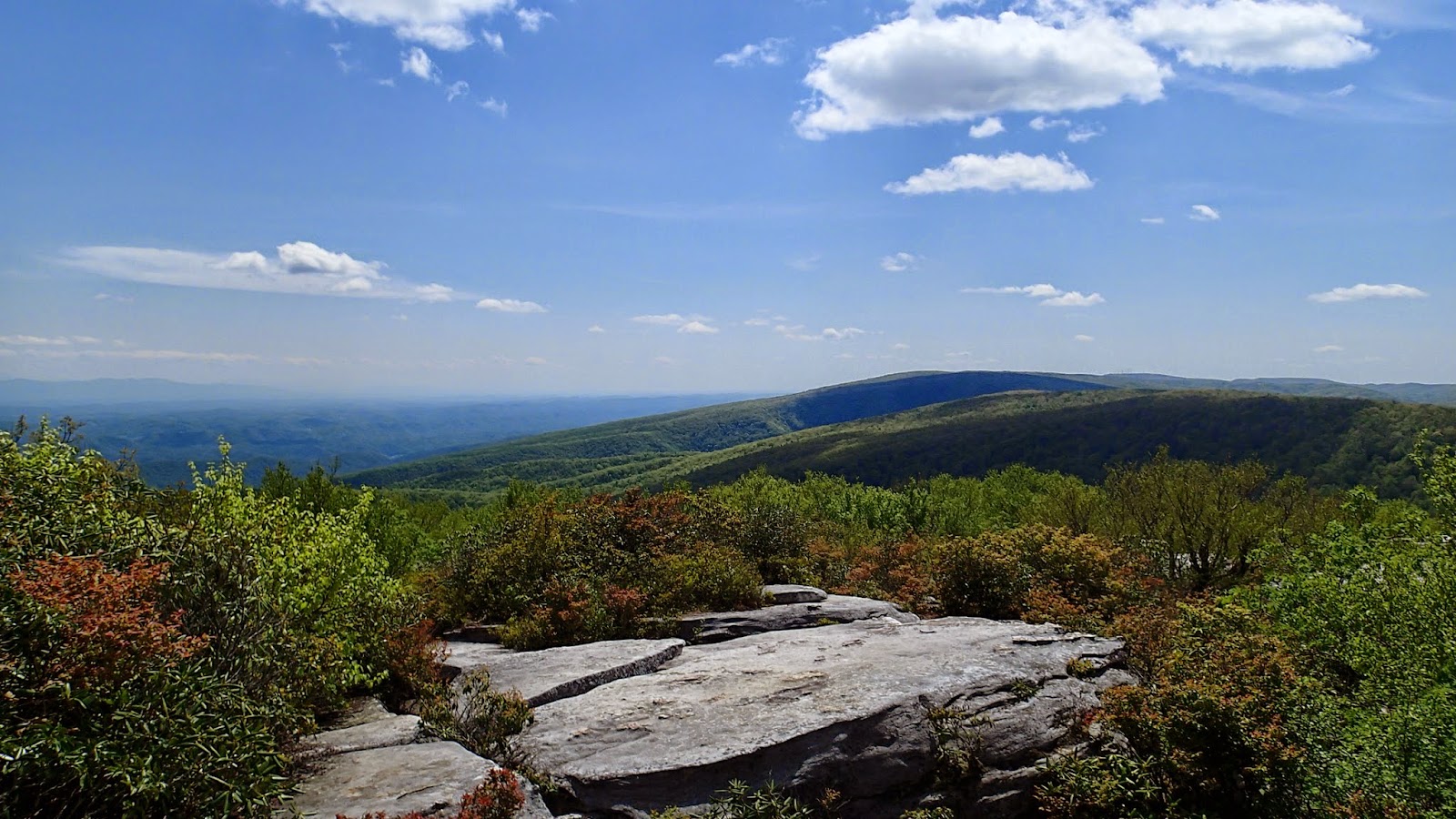 Ramblin': The Great Channels of Virginia