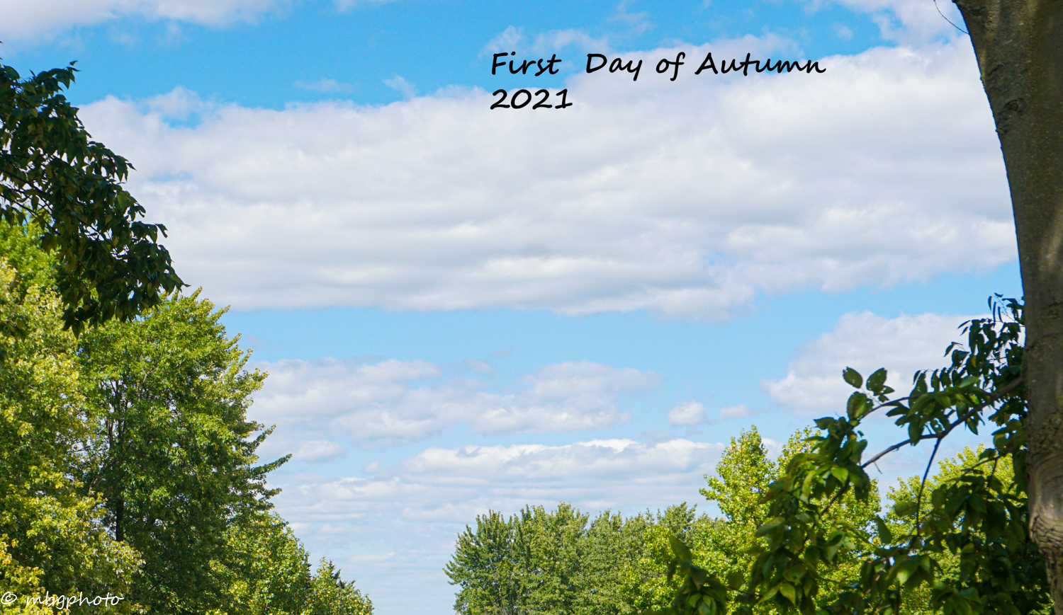 Autumn Colors in Missouri 2021