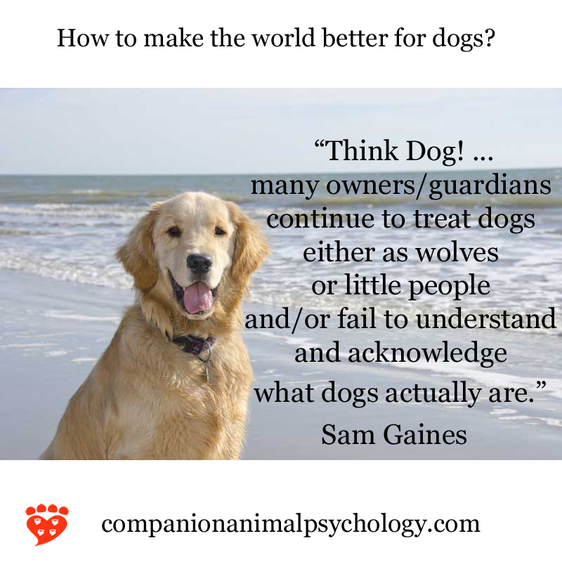 Think Dog and the Role of Food