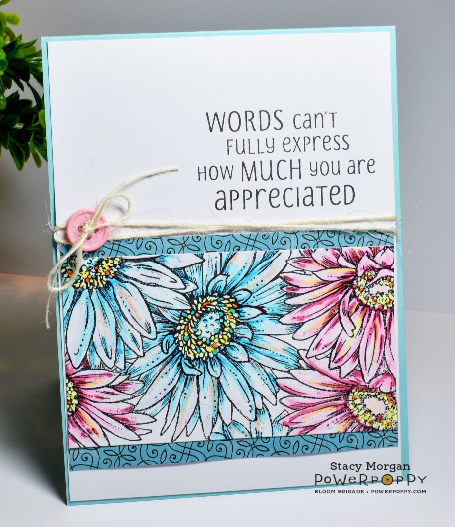 Twinshappy: One sheet wonder Daisy style