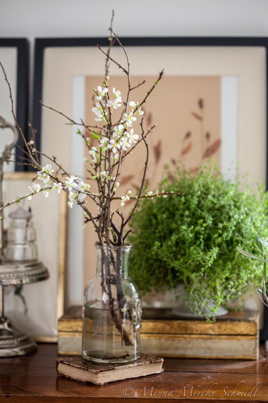 Driva kvistar på våren - enkla tips