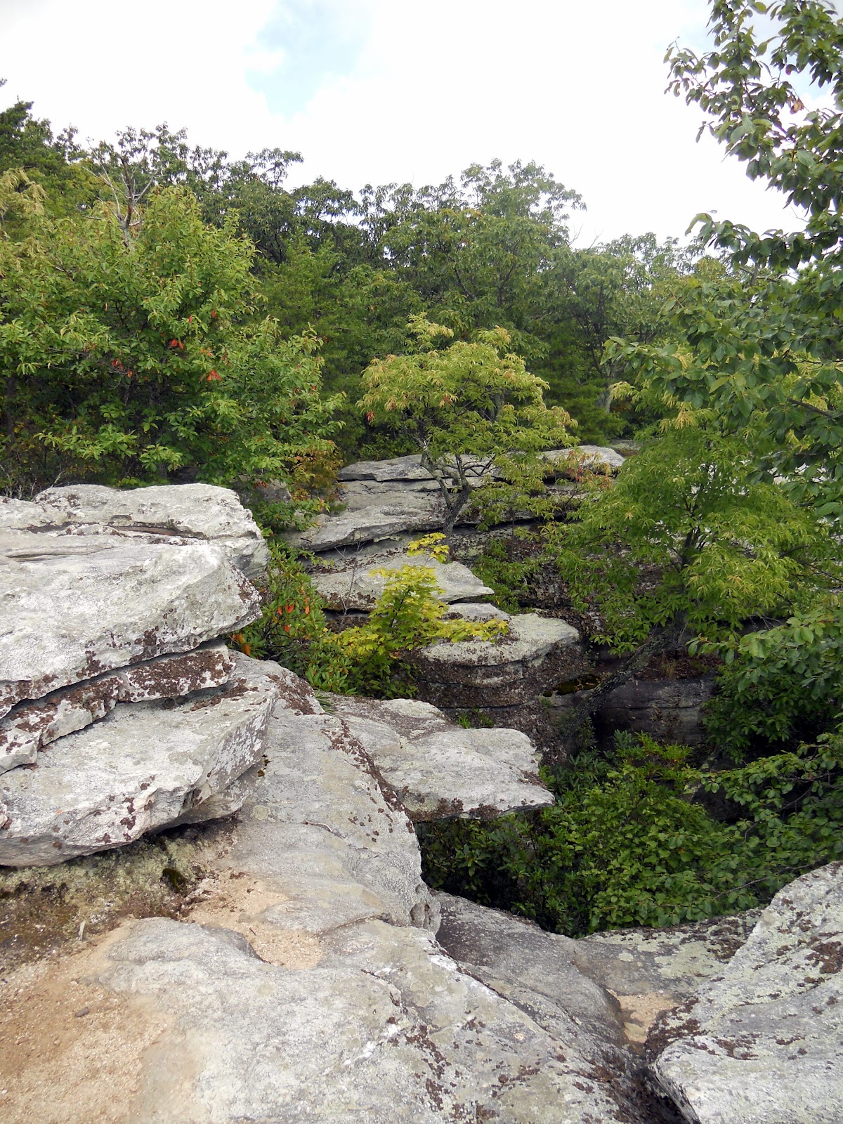 Hiking with a Fat Bald White Guy: Hanging Rock - Cooks Wall To Hanging Rock