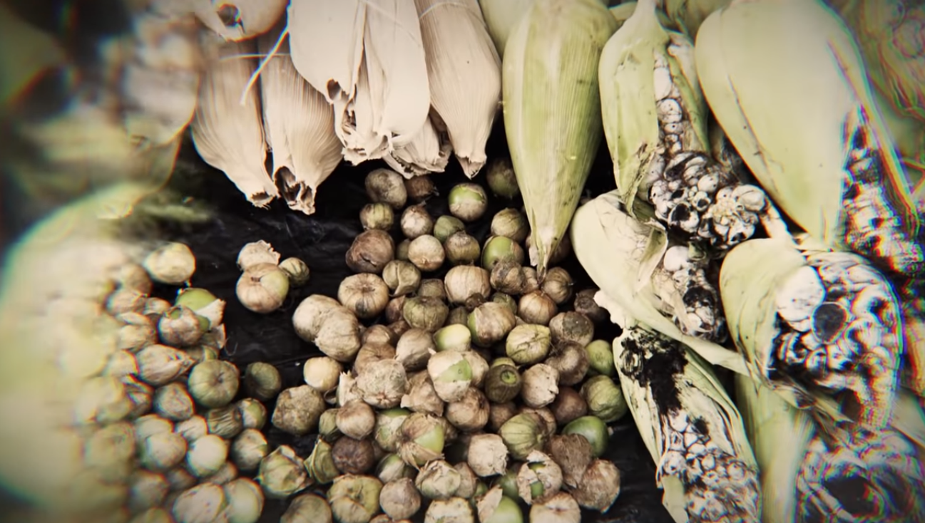 Historical Food-What Aztecs Were Eating Before European Contact