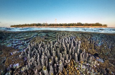 The Holiday and Travel Magazine: Remarkable reef repairs