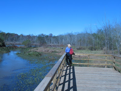 Lake Conestee Nature Park | Greenville SC Parks