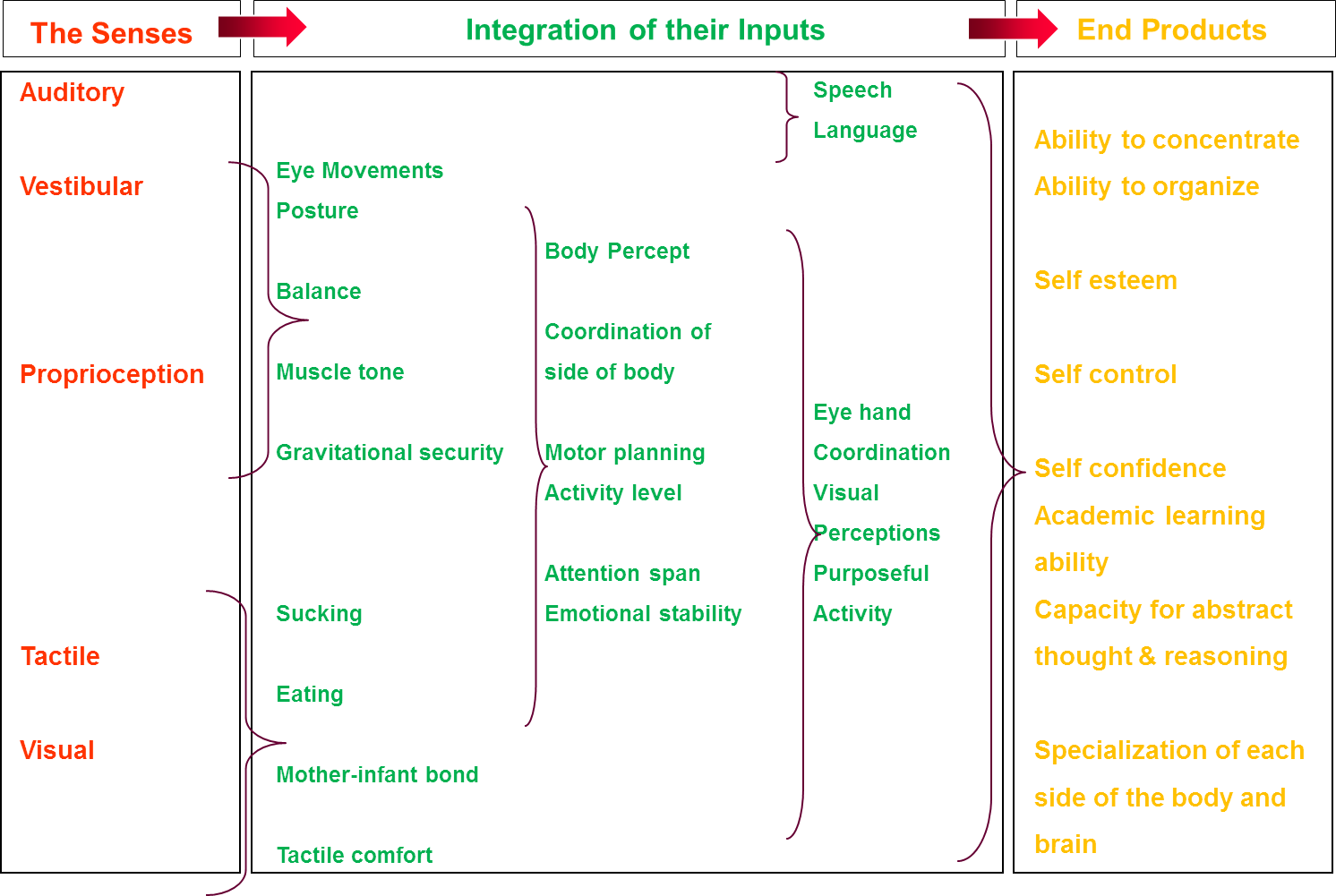 AB-C Tumbuh Kembang: Sensory System (Indera) dan Perkembangannya