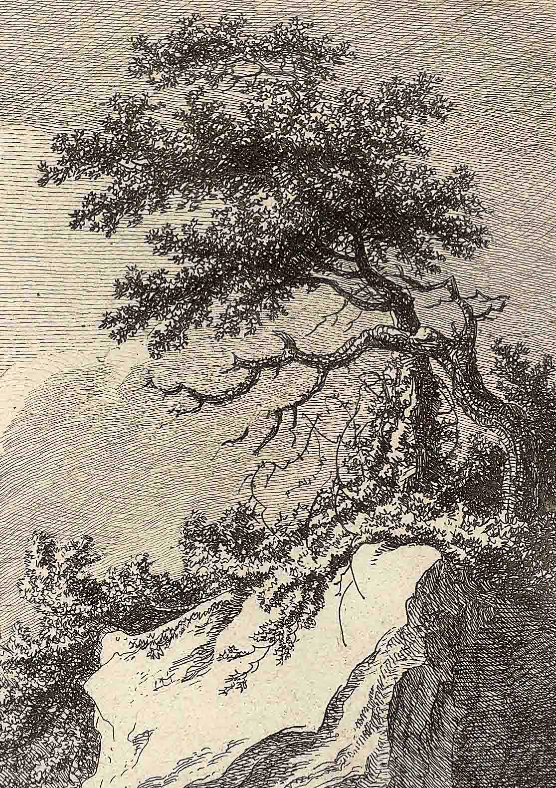 Prints and Principles: Trees as Metaphors (Part 1)