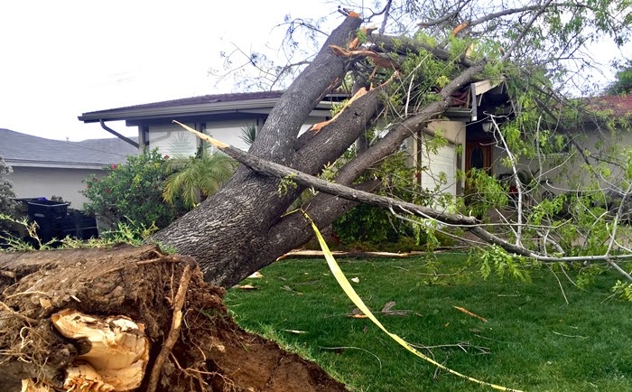 San Antonio Real Estate Blog: 6 Tips for Filing a Natural Disaster Home ...