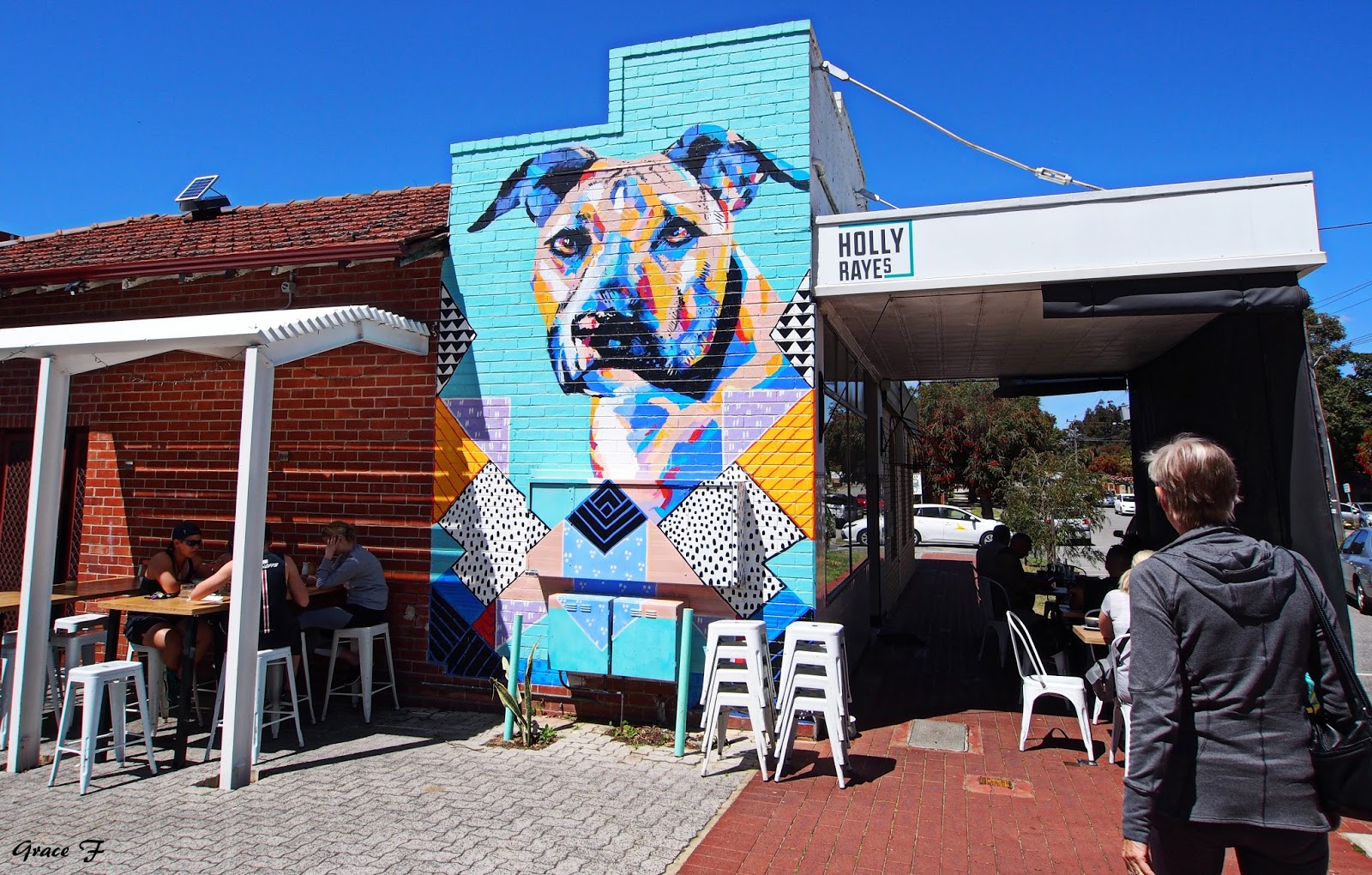 Perth Daily Photo : Angus..