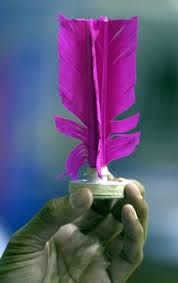 Malaysian Traditional Games_CCT@CHAPTEH