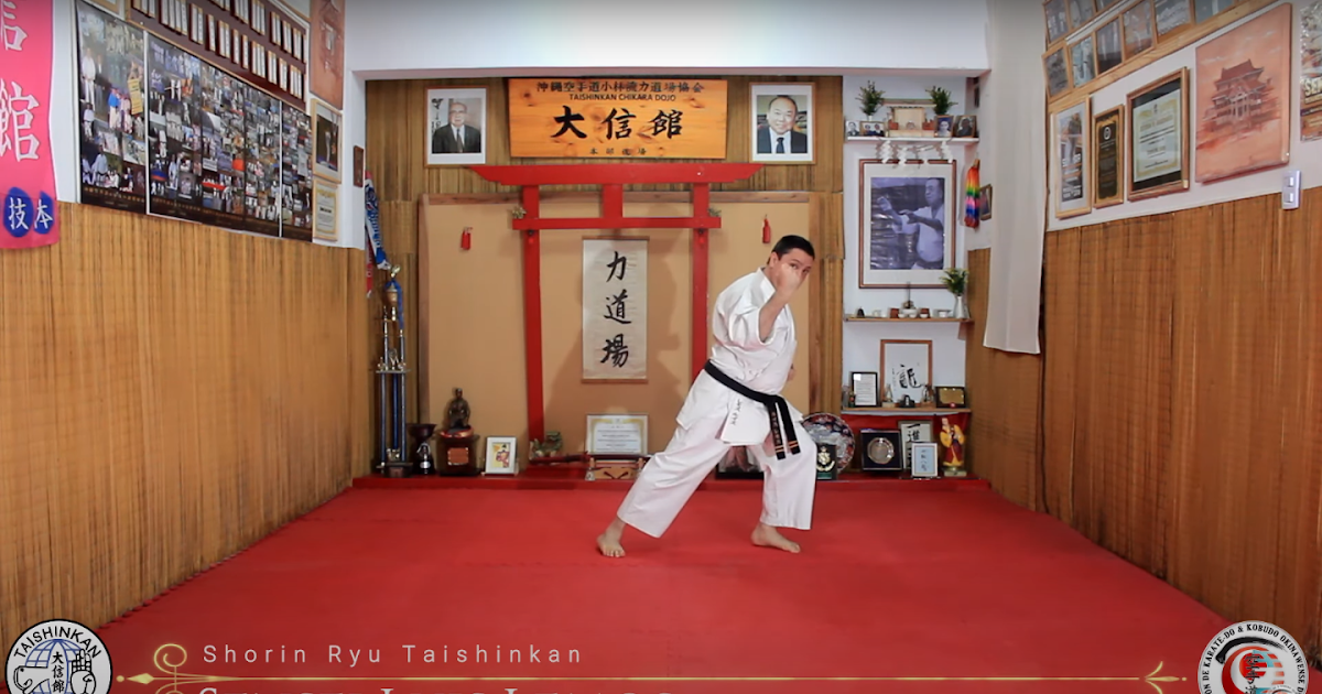 SHORIN RYU TAISHINKAN: EL TAISHINKAN CHIKARA DOJO PARTICIPO DE LOS FESTEJOS DEL "OKINAWA KARATE ...