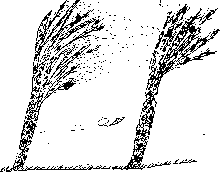 Biologia 1: Reproducción Plantas (II)