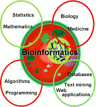 Bloggy Web Science : Bioinformatika