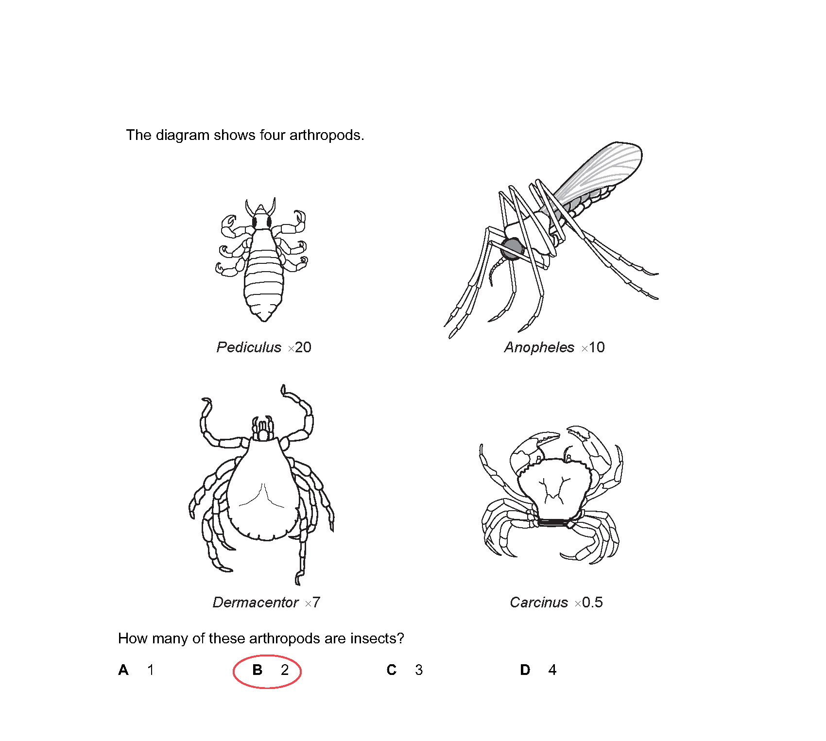 Characteristic and Classification of Living Organisms Paper 2 Solved ...