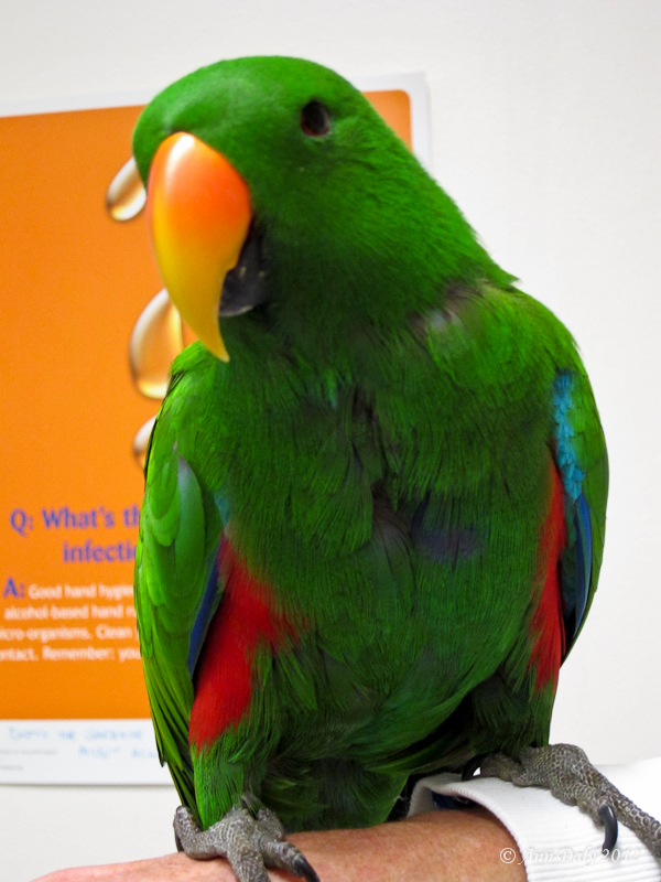 Sydney Meanderings: August 2012