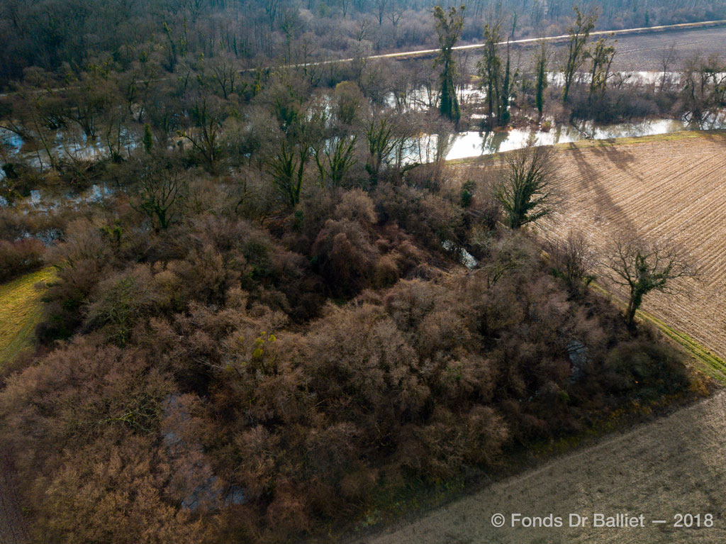 Mémento sur les redoutes installées le long du Rhin aux 17e et 18e ...