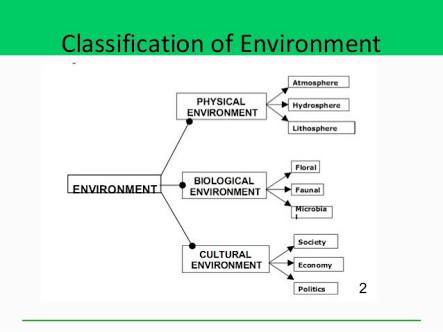 Dscoveries, developments,apperatments,managements: classifications of ...