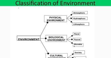 Dscoveries, developments,apperatments,managements: classifications of ...