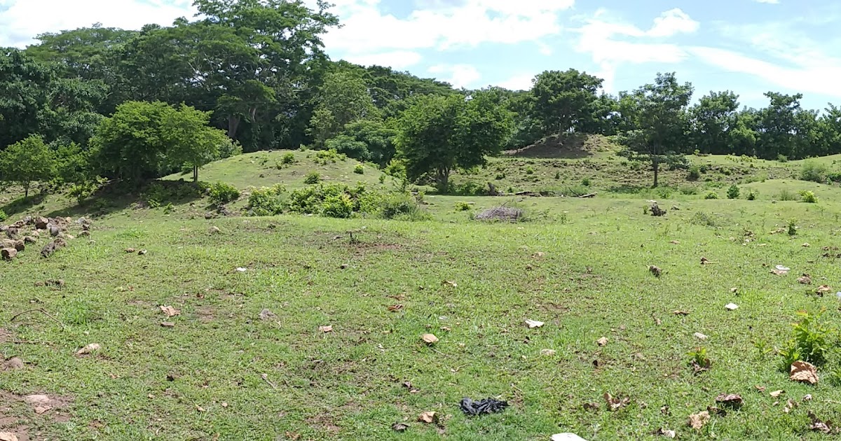 Grupo 1 - Herramientas 2019/03- Aprende Virtual: Quelepa (San Miguel ...