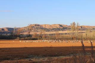 The Agri Handbook Blog: Rustler's Valley: view from a neighbour