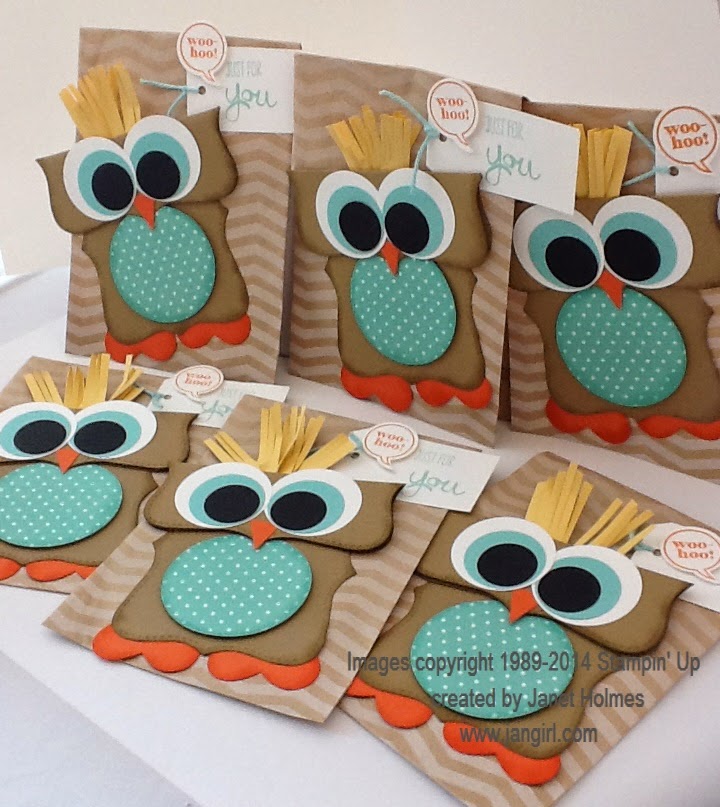Stampin' Up Top Note Owl Chevron Gift Bag | Jan Girl