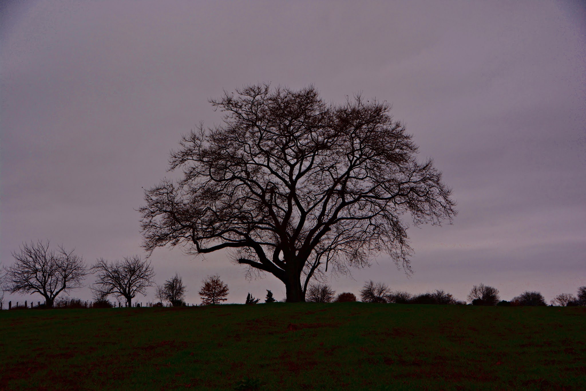 ΟΡΕΙΝΗ ΗΛΕΙΑ