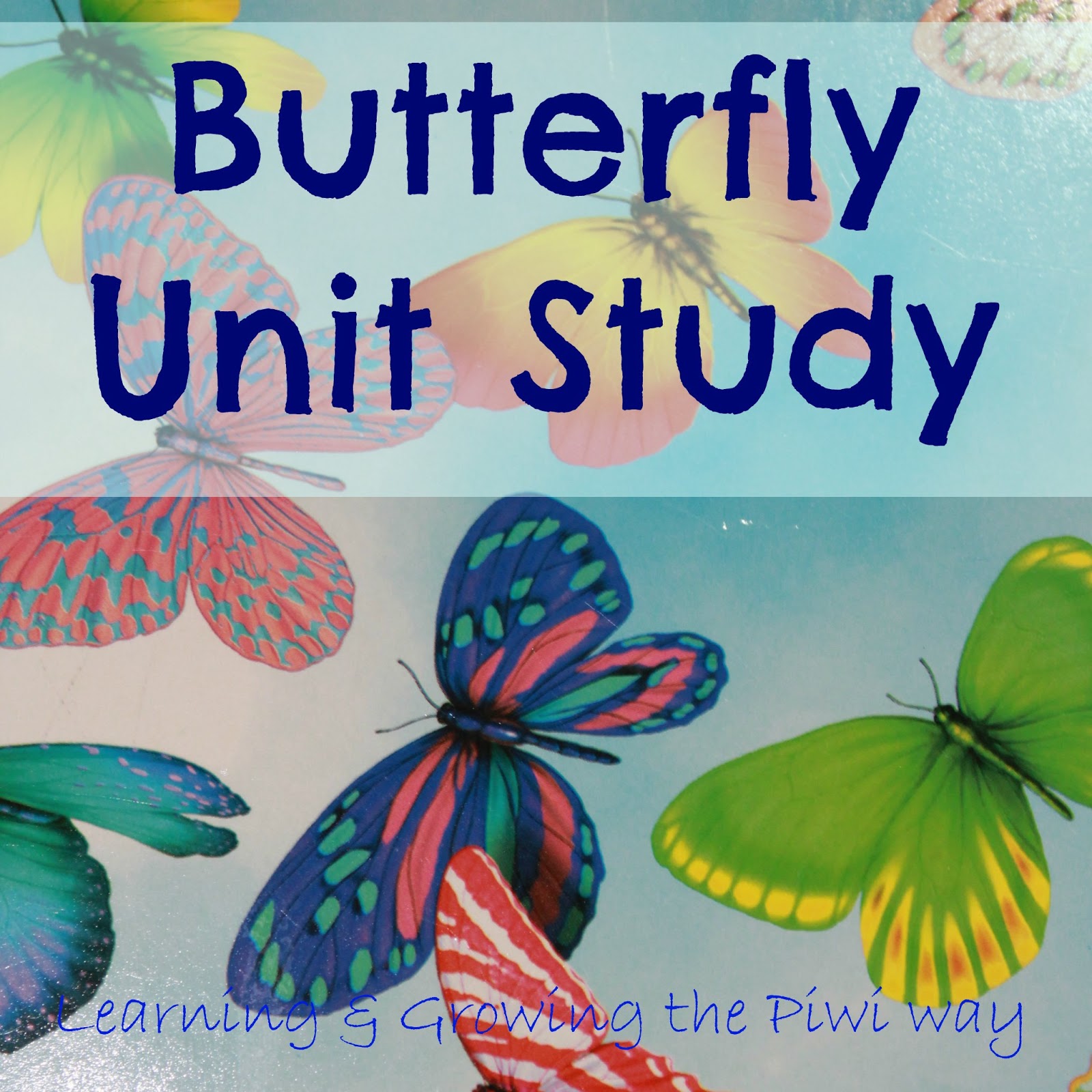 Butterfly Unit Study & Lap Book | Piwi Kids