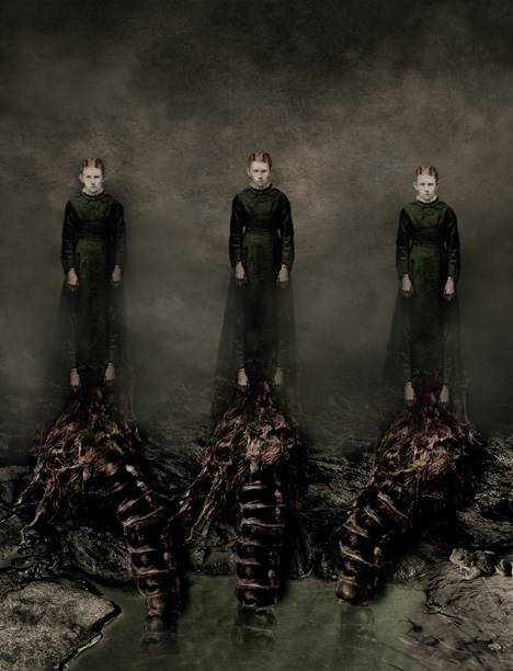 Elisandre - L'Oeuvre au Noir: Voyage Extraordinaire avec Stephen Rothwell