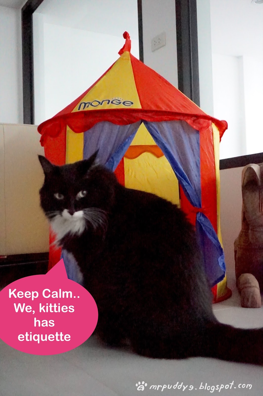 Mr. Puddy +: How to accept da gift