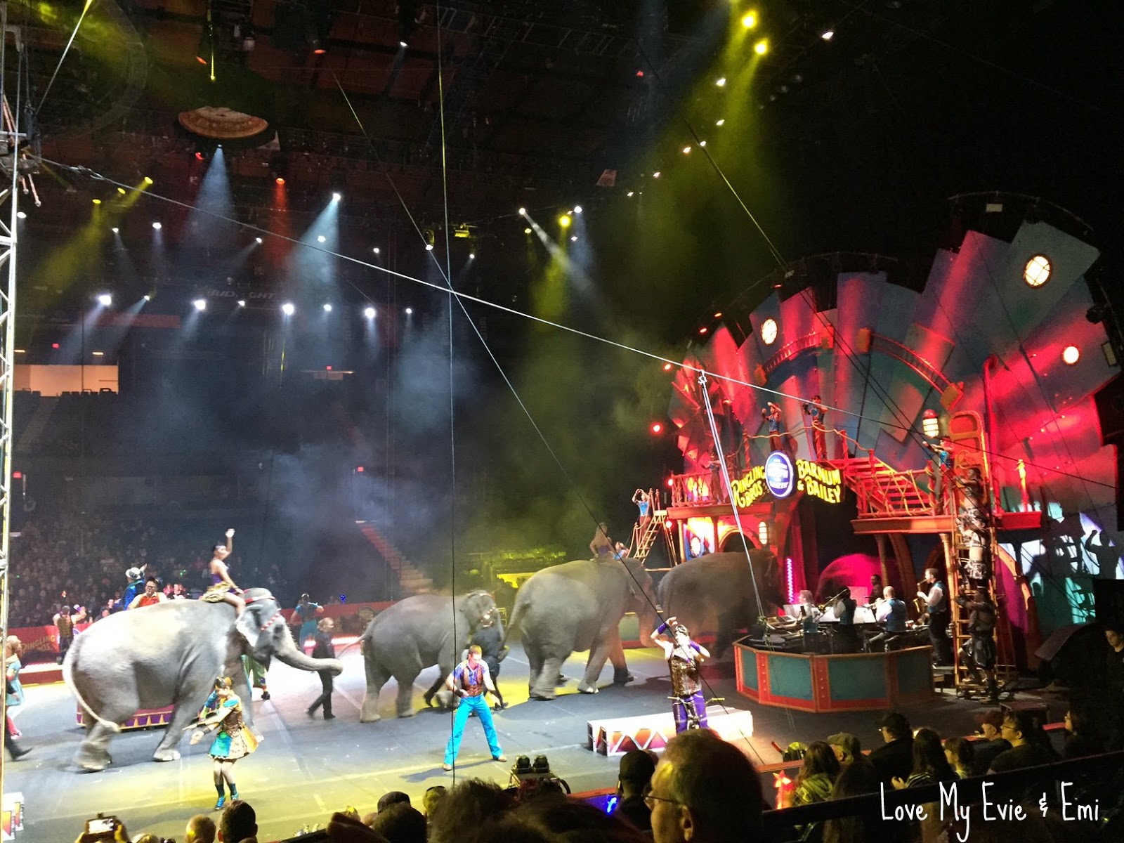Ringling Bros & Barnum and Bailey Circus Review - Love My Evie & Emi ♥