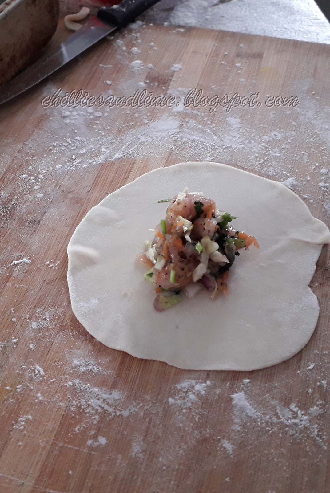 Chillies and Lime: Chicken money bags