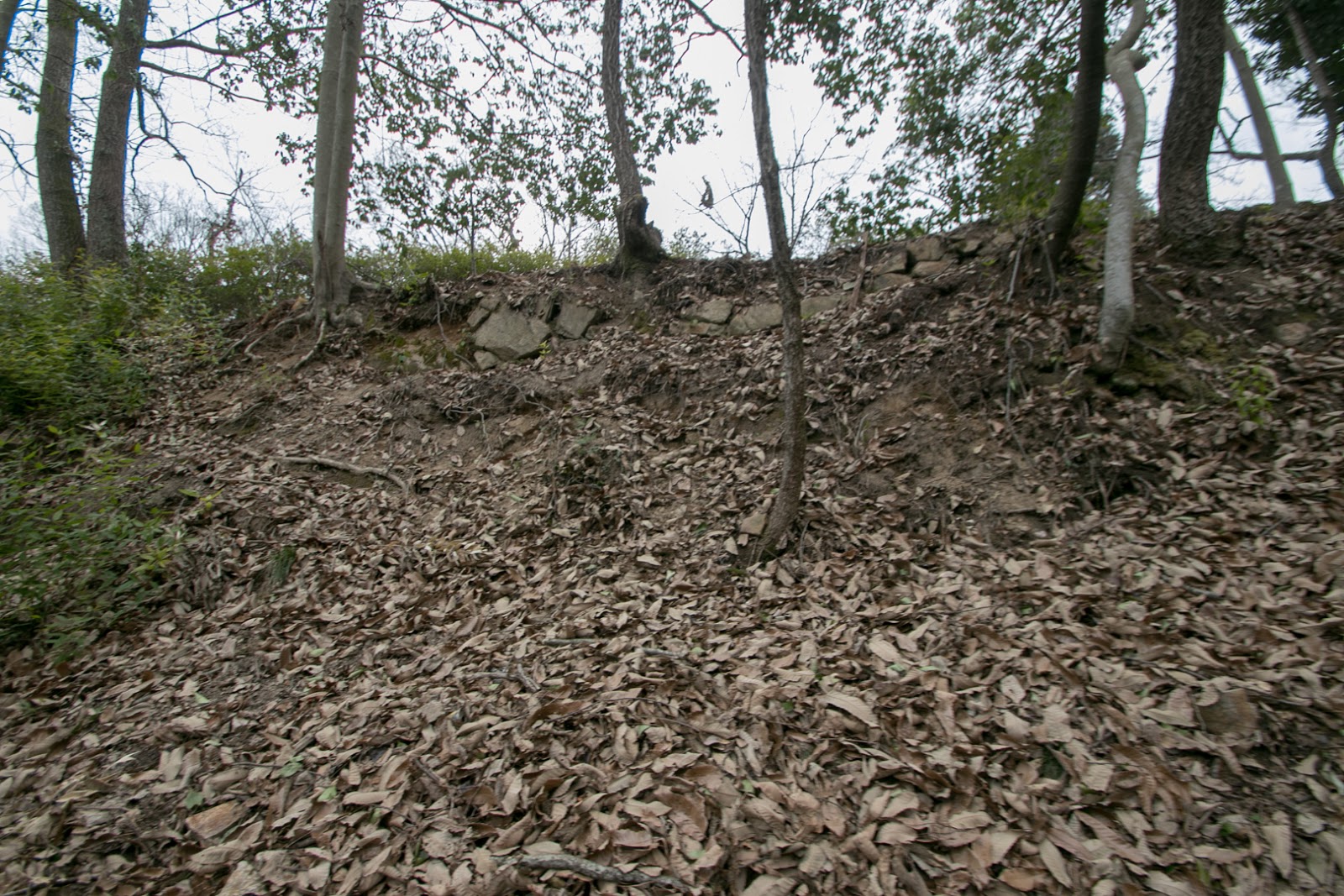 Niitakayama Castle -Intellectual pillar of Mouri clan (2)- | Japan ...