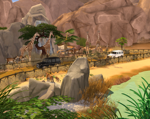 Go To Safari - Lily Sims