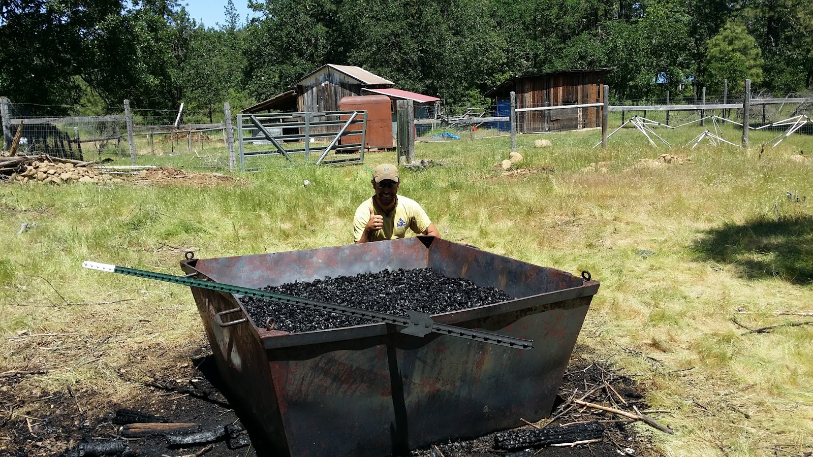 Umpqua Biochar Education Team: Biochar for Arborists and Tree Service ...
